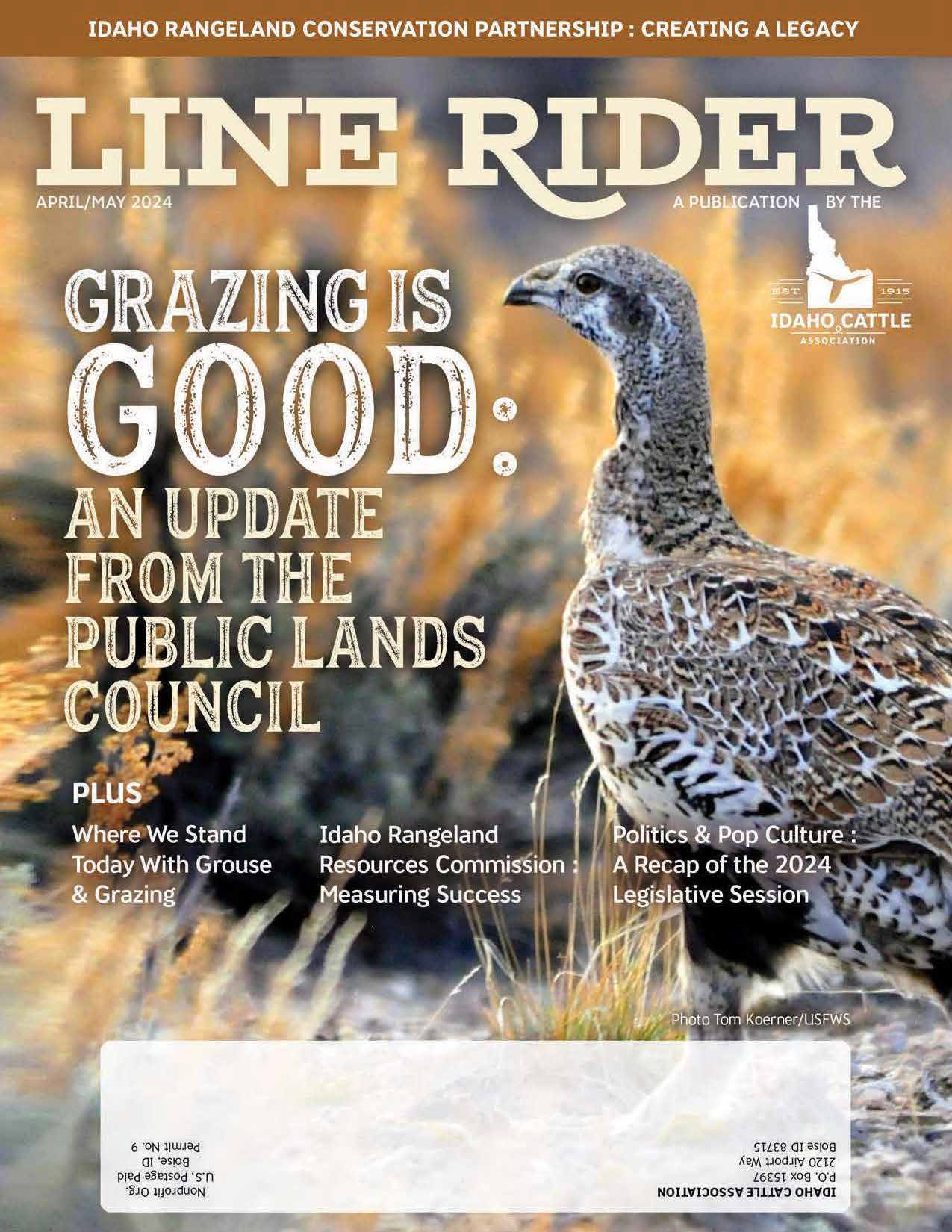 Line Rider Magazine
