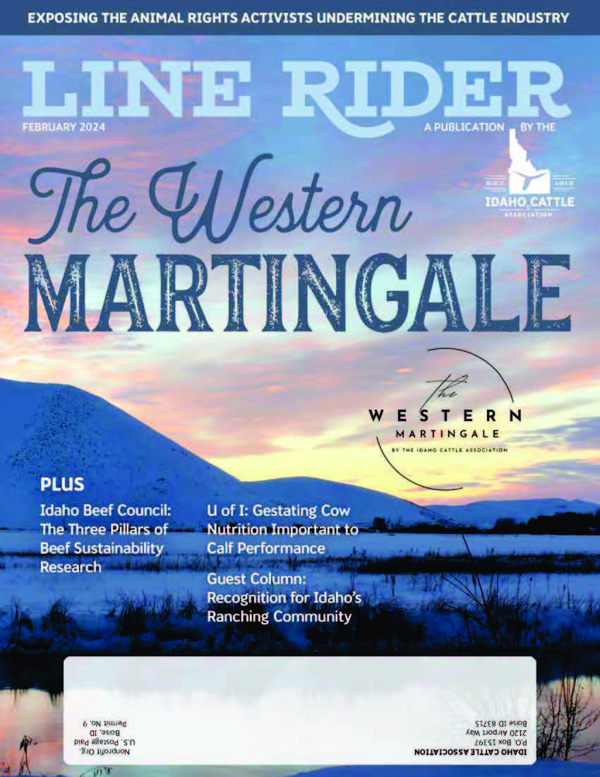 Line Rider Magazine