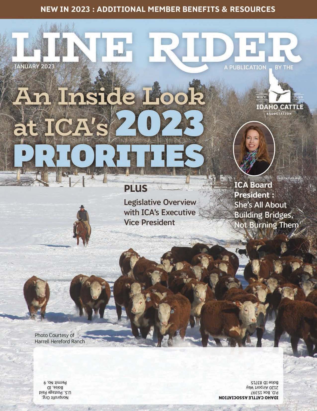 Line Rider Magazine