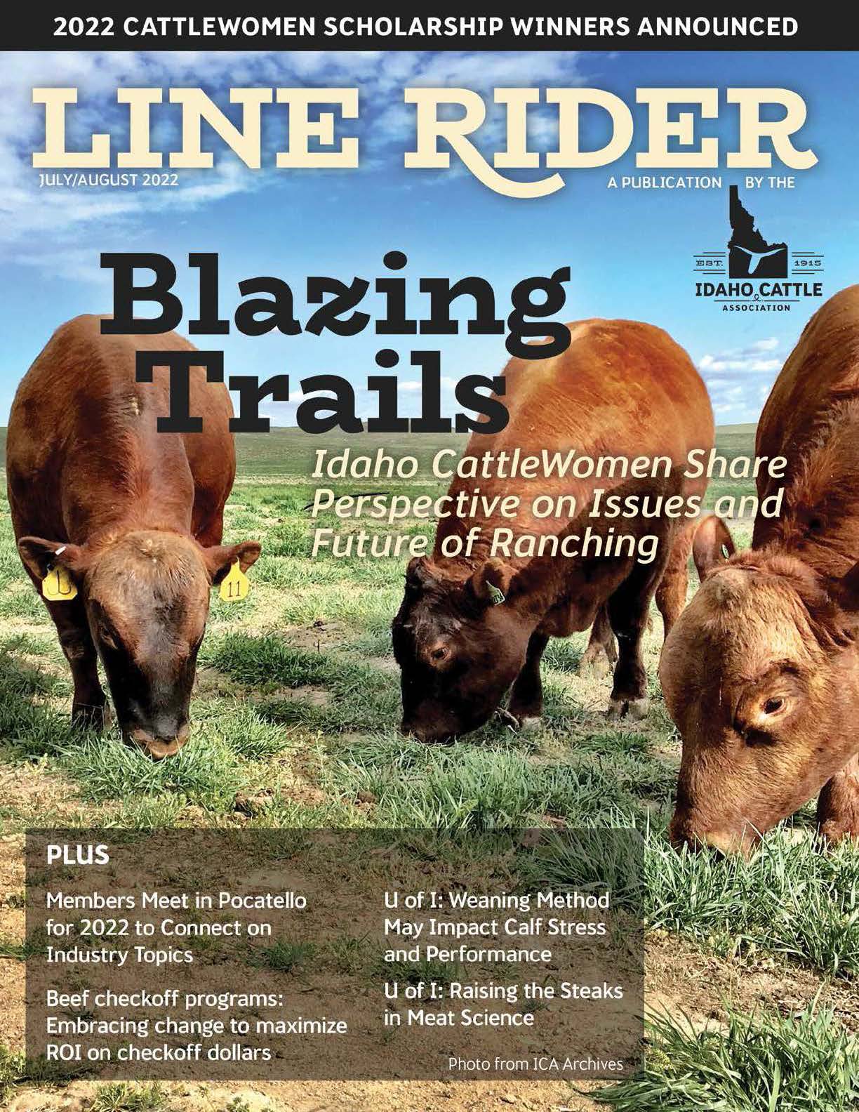 Line Rider Magazine